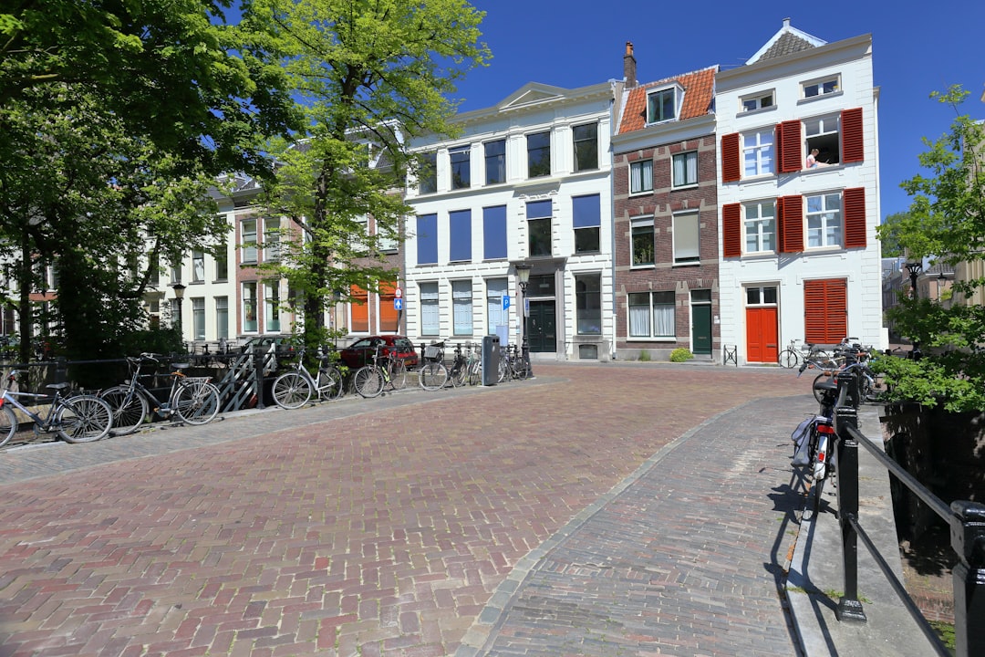 Steeds meer miljonairs in Nederland: feiten en cijfers - Nijmegen info